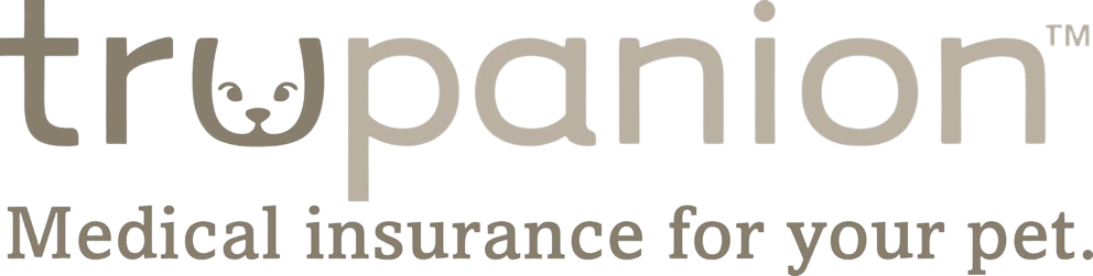 Pet Insurance | Shanendoah Veterinary Hospital
